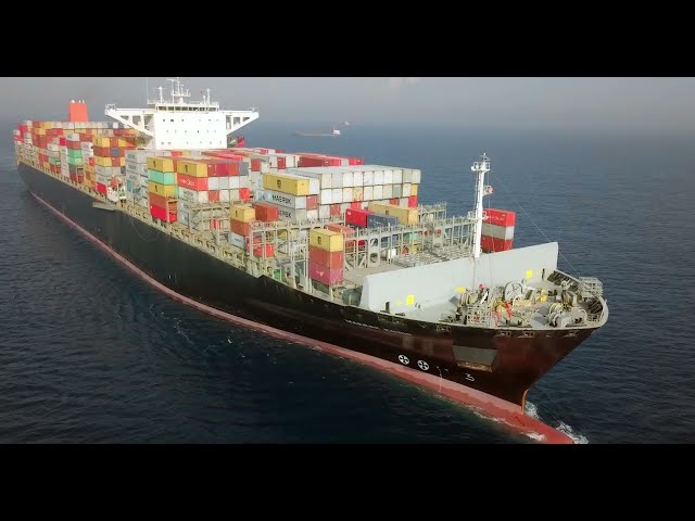 Allisson Shipping and Forwarding – Navigating Success Seamlessly
