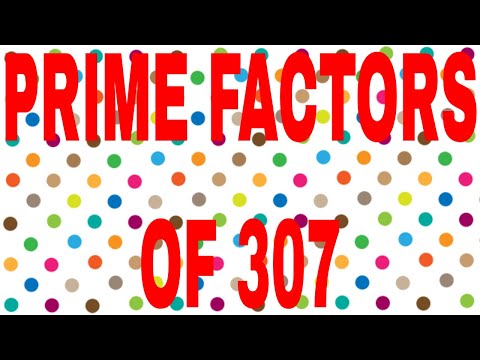 PRIME FACTORS OF 307