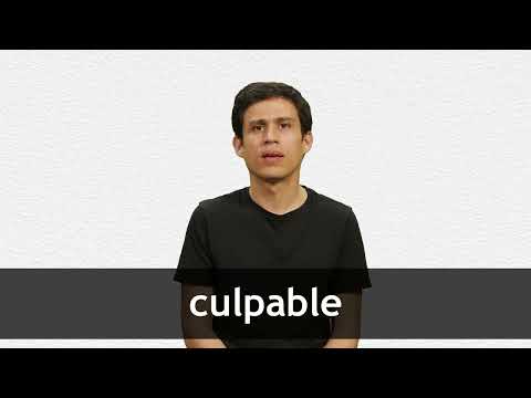 Traducción en inglés de “CULPABLE” | Collins Diccionario español-inglés