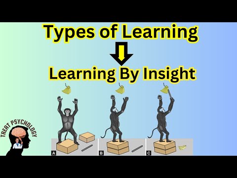 what is insight learning | Types of learning | Urdu/Hindi