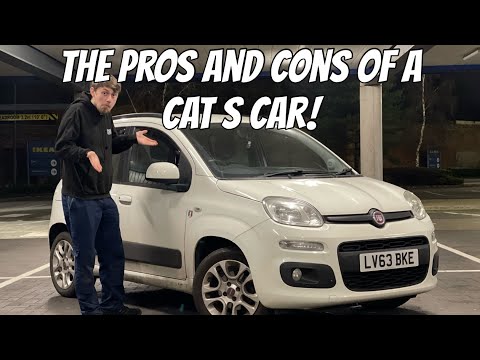 The Pros and Cons of a CAT S Car!