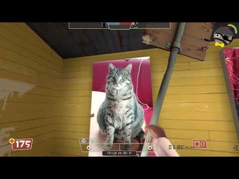 Steam Community :: Video :: TF2 Selbyen easteregg!? 😸🐶#summerupdate