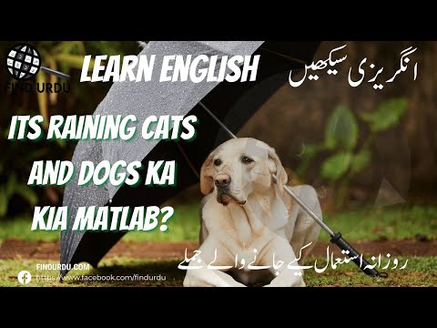 Its raining Cats and Dogs | Meaning In Urdu/Hindi With Explanation