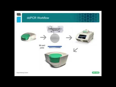 Droplet Digital™ PCR Tips & Tricks: ddPCR™ Assay Design