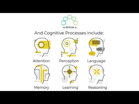 Psychology 101: What is Cognition?