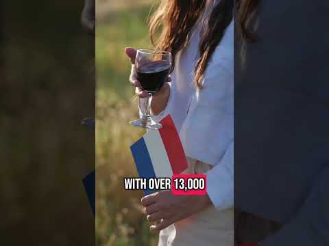 Record Number of U.S. Citizens Get French Residency in 2024!