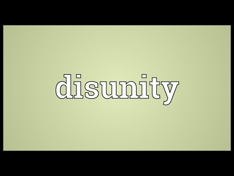 Disunity Meaning