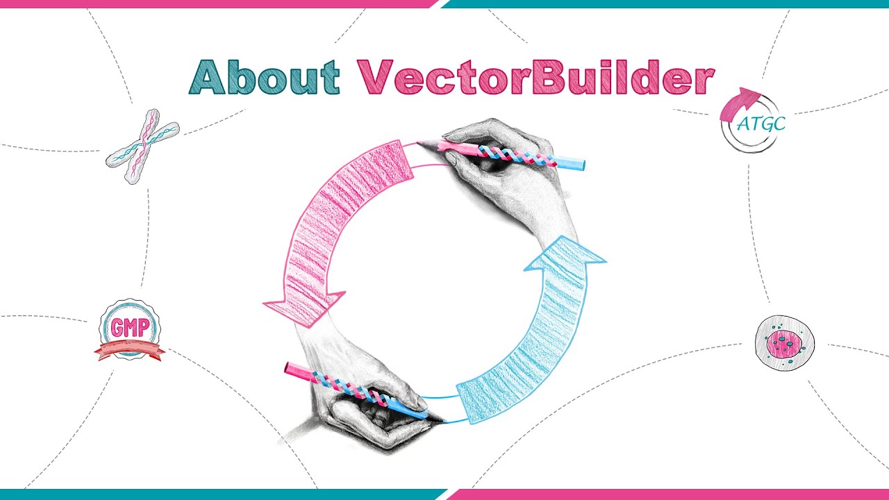 About VectorBuilder