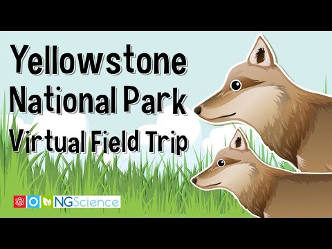 Yellowstone National Park – Virtual Field ... - SafeShare