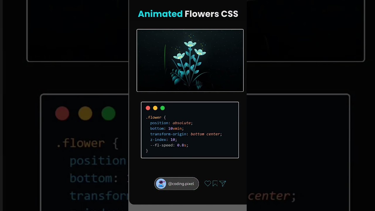 Flower Animation In Css ! HtmlCss Graphic Design! Css javascript tutorial effect animation