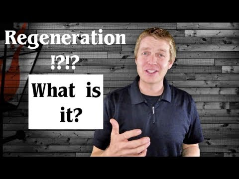 Doctrine of Regeneration - Biblical Regeneration (Overview)