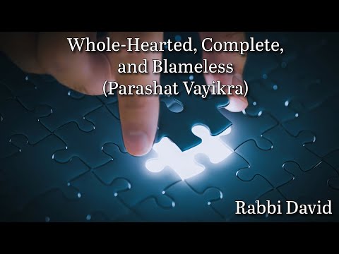 Whole-Hearted, Complete, and Blameless (Parashat Vayikra) | Rabbi David