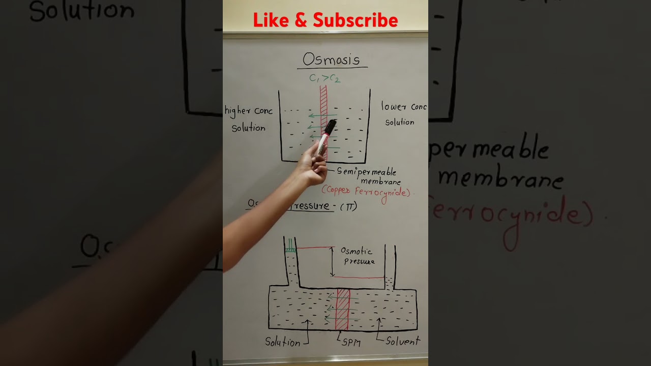 Osmosis & Osmotic pressure/12 class chemistry/ bsc physical chemistry#chemistry #education