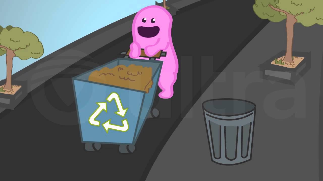 60 y contando. Reciclaje