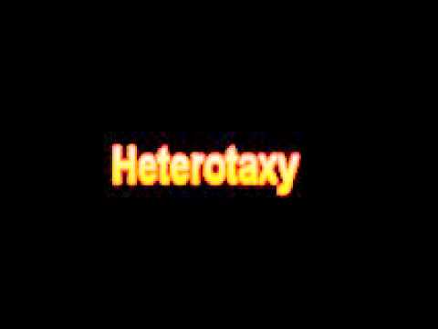What Is The Definition Of Heterotaxy - Medical Dictionary Free Online Terms