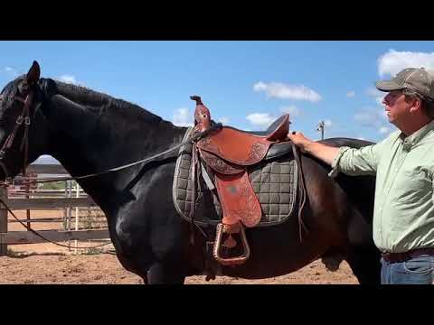 Brio Horsemanship DP adjustable saddle Testing & riding impressions