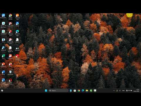 Windows 11 Home : How to Show or Hide item check boxes in File Explorer