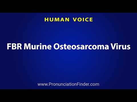 How To Pronounce FBR Murine Osteosarcoma Virus