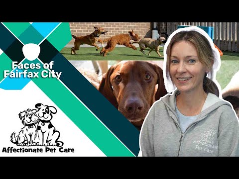 Faces of Fairfax City: Affectionate Pet Care