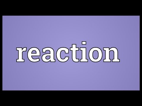 Reaction Meaning