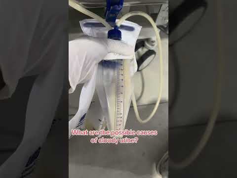 Why is the Urine Cloudy?
