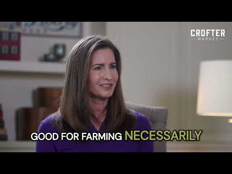 Why Landowners Are Choosing the CRP Program Now