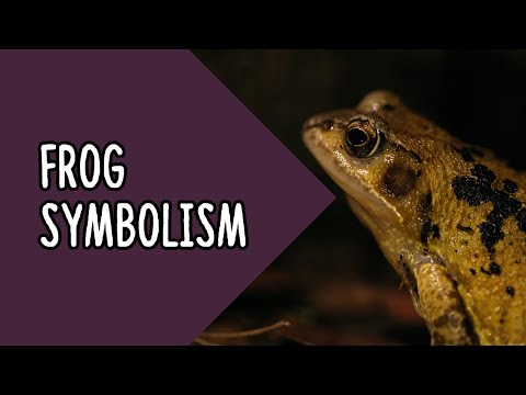 Frog Symbolism Meaning (In Dreams, Christianity) | Are Frogs a Good Sign?