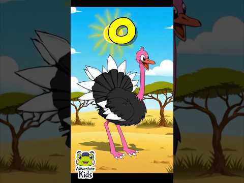 ðŠ What animals start with an O?
