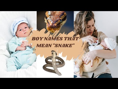 Boy Names That Mean Snake - Unique and Symbolic Choices