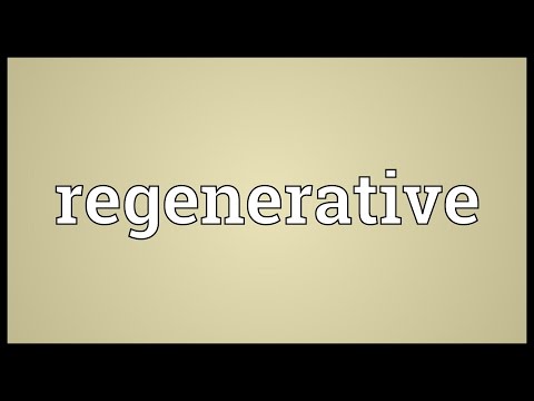 Regenerative Meaning