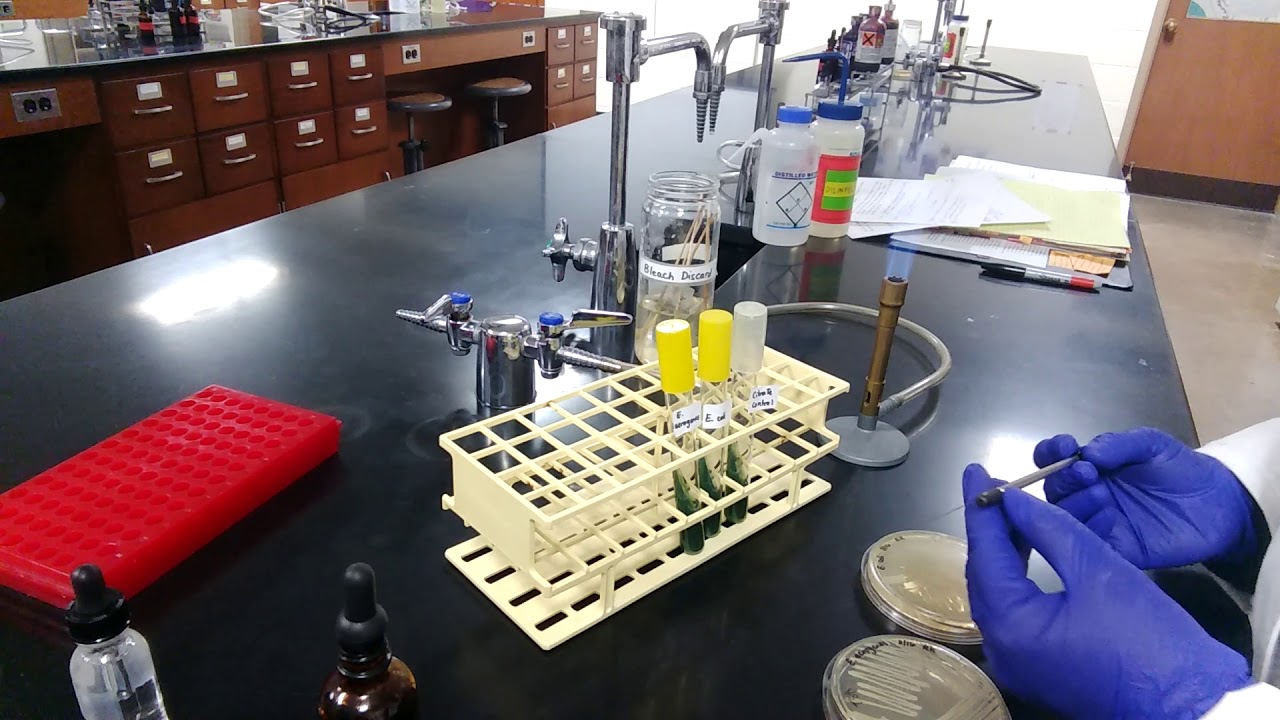 Citrate Test Procedure