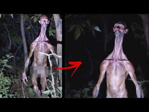 What Are These Terrifying Creatures Caught On Camera? Here are the Shocking Details!