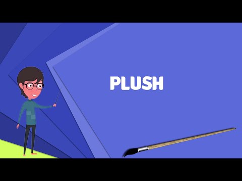 What is Plush? Explain Plush, Define Plush, Meaning of Plush