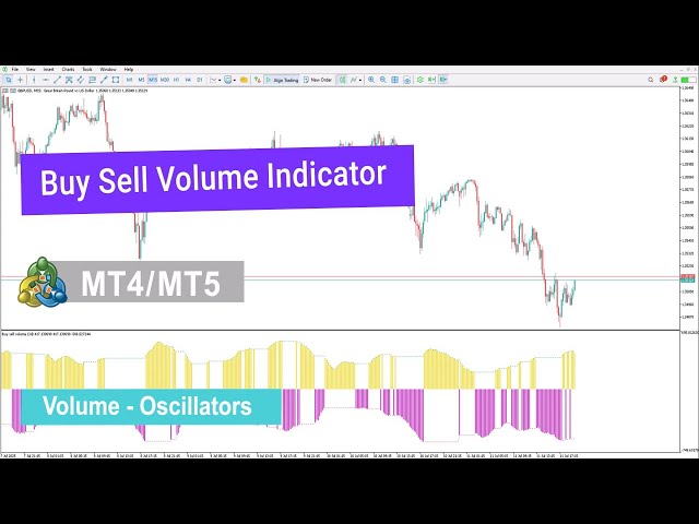 Understanding the Buy Sell Volume Indicator for MetaTrader 4/5 | Galaxy.ai