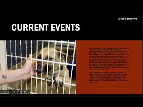 Anti Kill Shelters Presentation