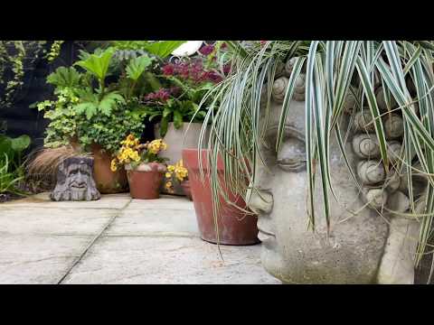 My Tiny Zen Garden Tour without commentary.