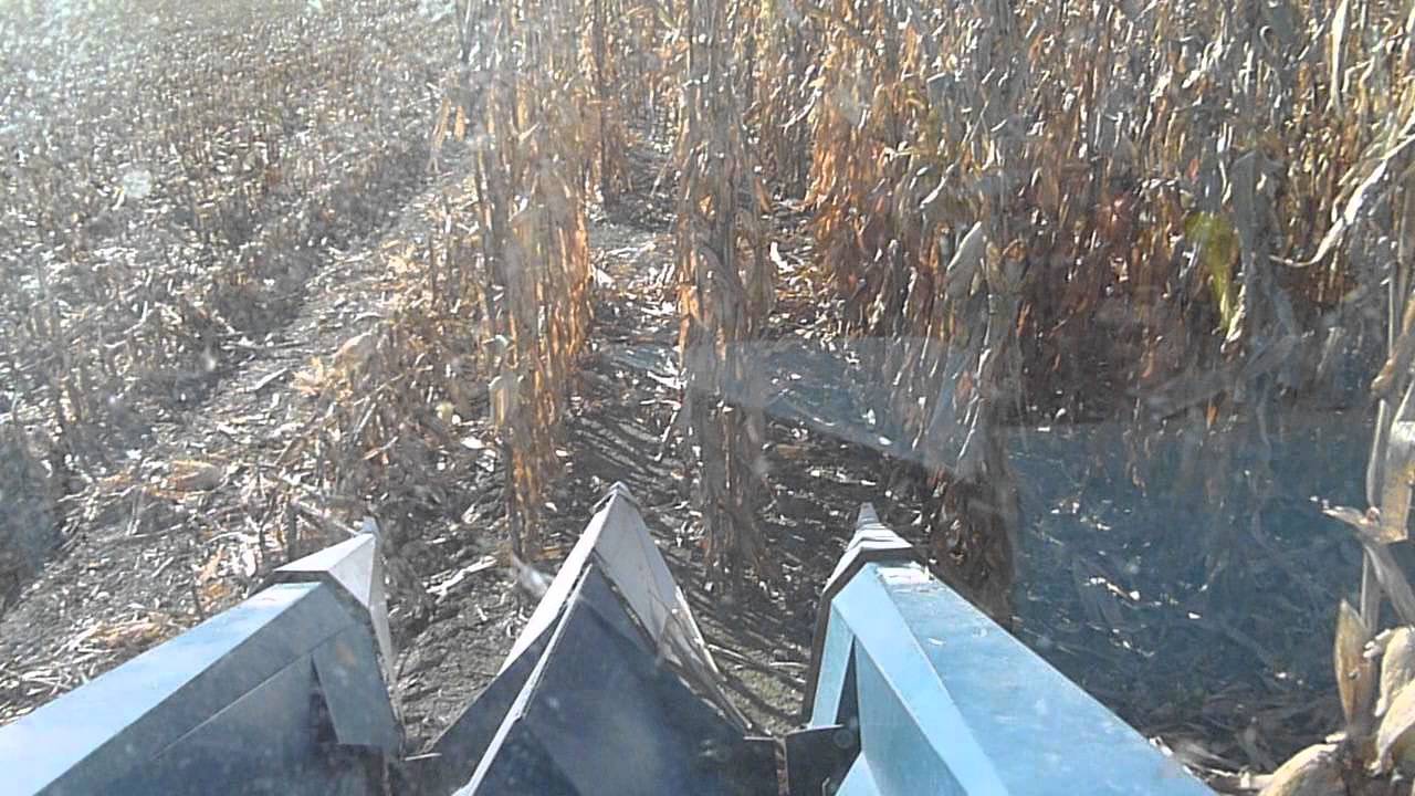 Almaco SPC 40 - Plot Combine