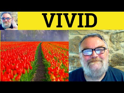 😎 Arti Vivid - Definisi Vivid - Contoh Vivid - Arti Vivid - Vivid Vivid