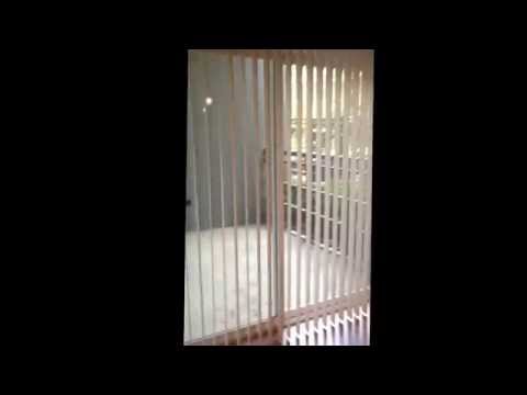 Towson Promenade - 1 bedroom, 1 bathroom - apartment 4336 - 1296 square feet - 410 296 7575