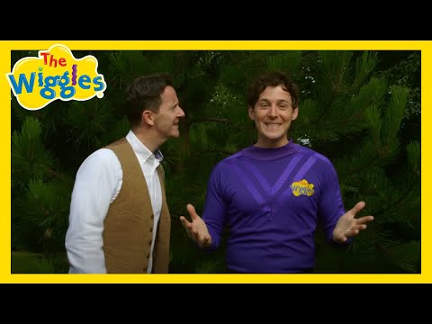 I'll Tell Me Ma 🎶 Irish Folk Song for Kids ☘️ The Wiggles (feat. Morgan Crowley)