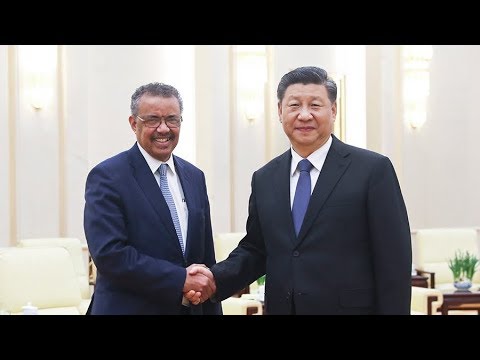 Tedros Adhanom Ghebreyesus: is the WHO led by a terrorist? The go ...