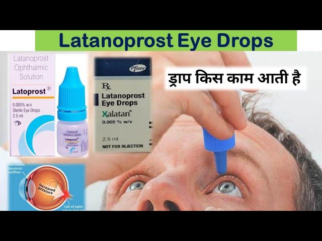 Eye Drop - Nosramycin H Eye Onitment 5g Wholesaler from Nagpur