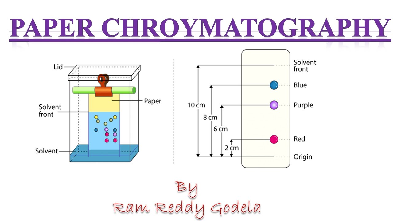 Paper chromatography, types, requirements, development techniques