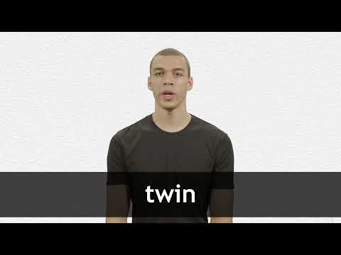 TWIN definition and meaning | Collins English Dictionary