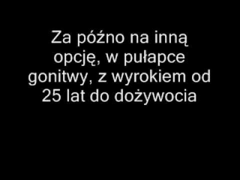 Eminem - 25 to life (napisy PL)