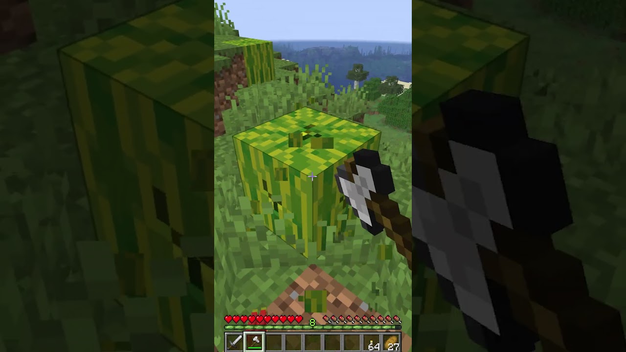 Can you spot what's wrong with this Minecraft World? 🤔