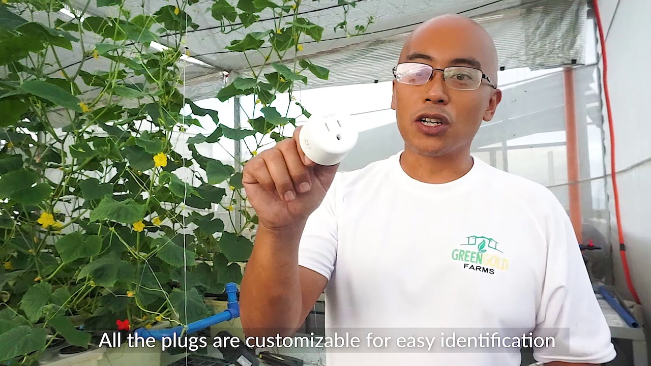 THE MODERN SMART GREENHOUSE (Using Smart Switches) | Greengold Farms
