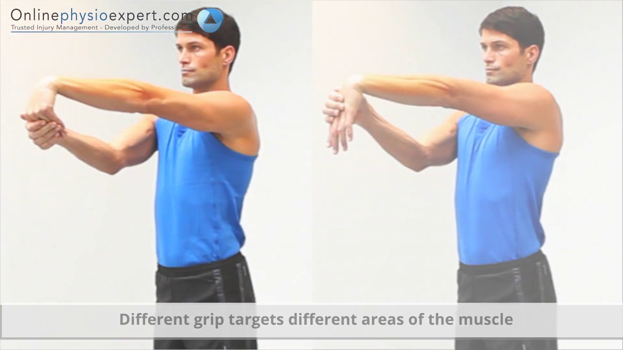 Forearm extensor muscle stretch L