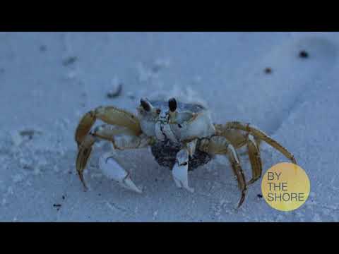 Mod 3 Still images – Emily Harrell