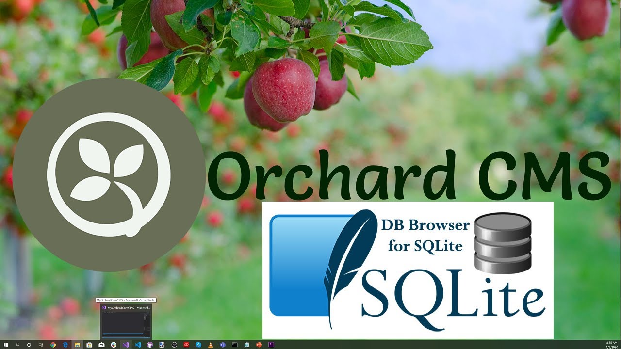Orchard Core Database Administration with DB Browser for SQLite